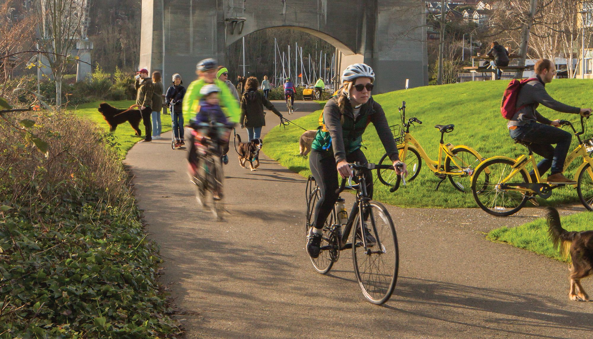 The Dos and Don'ts of Riding Your Bike on the Burke-Gilman Trail ...